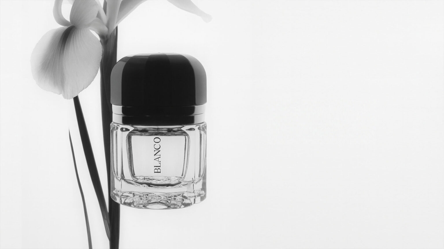 Blanco – Ramon Monegal